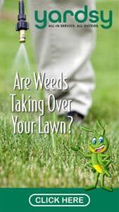 Weed Control - Yardsy
